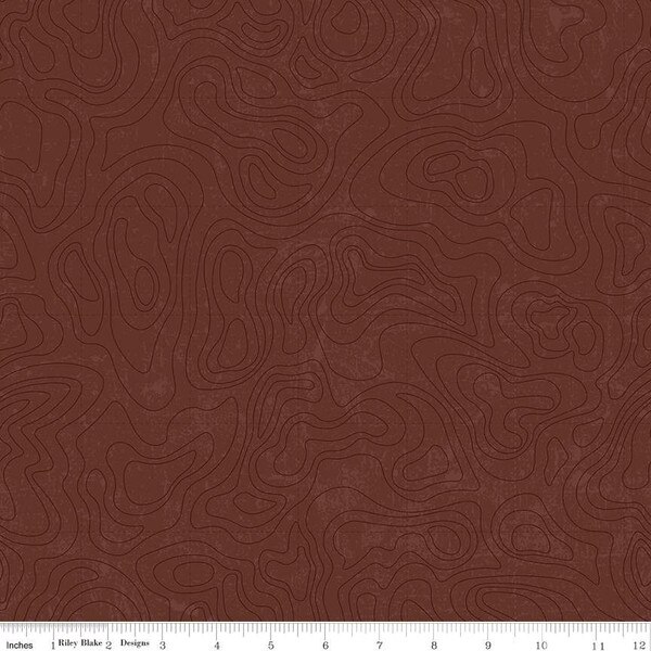 National Parks Topographic Brown | Riley Blake Designs
