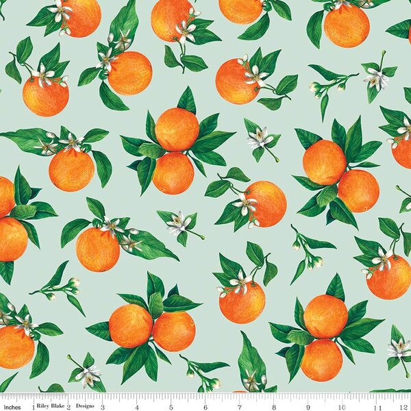 Monthly Placemats 2 June Oranges Mint | Riley Blake Designs
