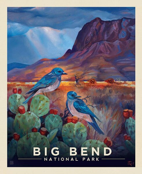 National Parks Big Bend Poster Panel | Riley Blake Designs