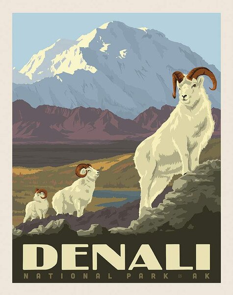 Alaska Denali National Park Poster Panel | Riley Blake Designs