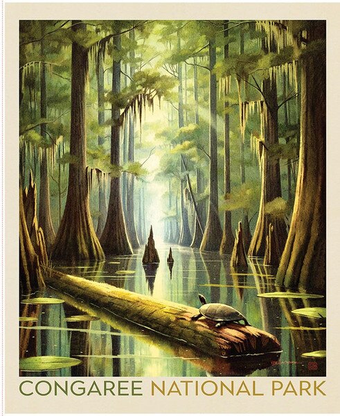 National Parks Congaree Poster Panel | Riley Blake Designs