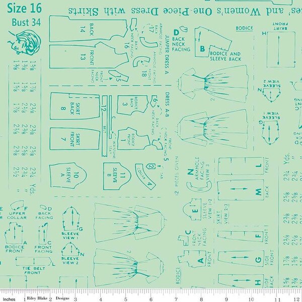 Wide Back Bee Backings & Borders Pattern Mint | Riley Blake Designs